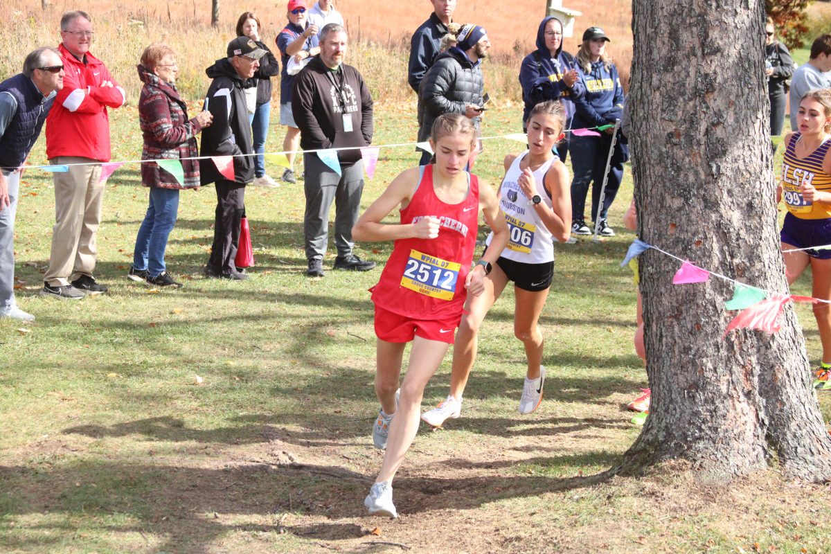 Fort Cherry’s Frankovich finishes 4th in state meet - Observer-Reporter